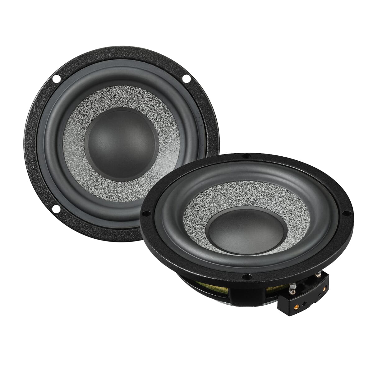 Brax Graphic GL3 mk2 - bassbrothers.no